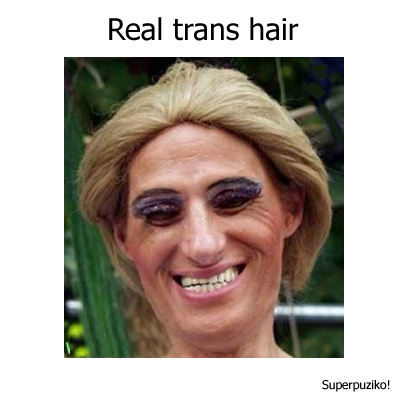 Superpuziko!: Real trans hair